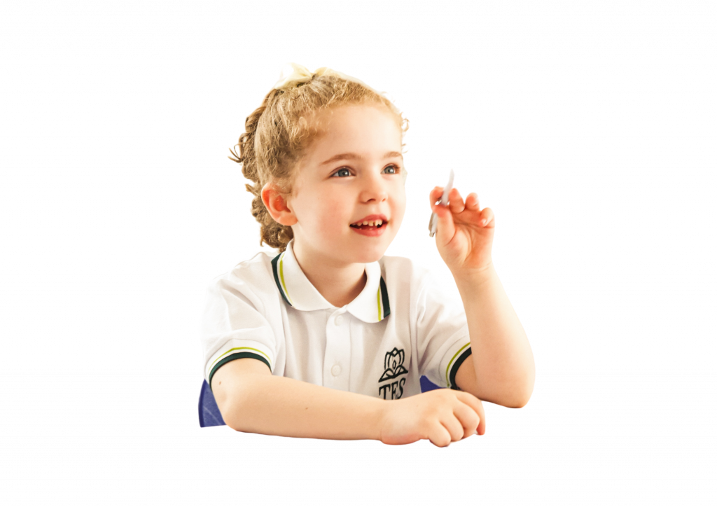 TES – Tomorrow's Education System